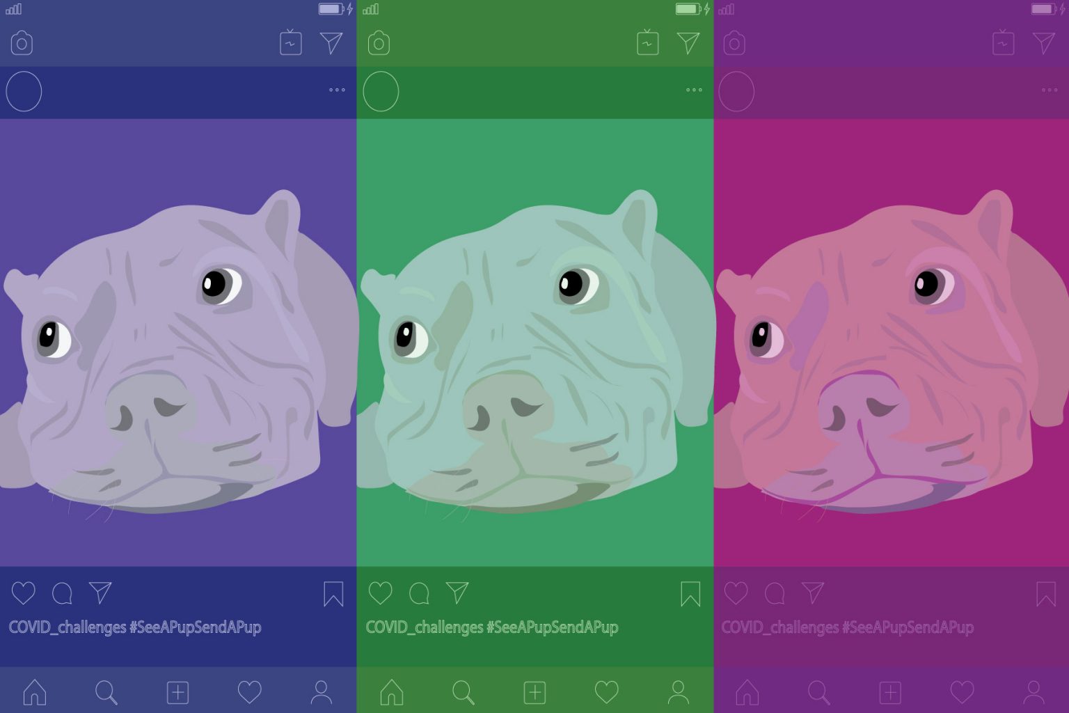 The Best Instagram Challenges To Send to Your Friends