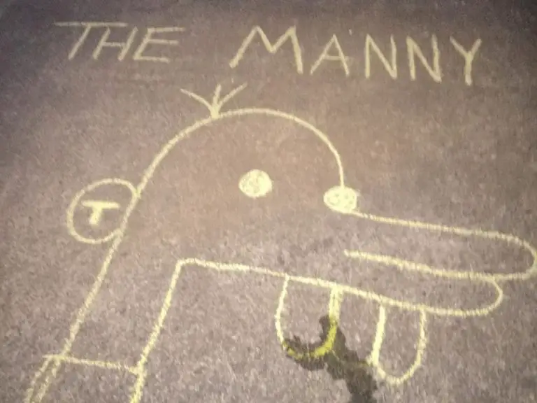Manny Heffley From 'Diary of a Wimpy Kid' Is the Start of 'Meme Activism’