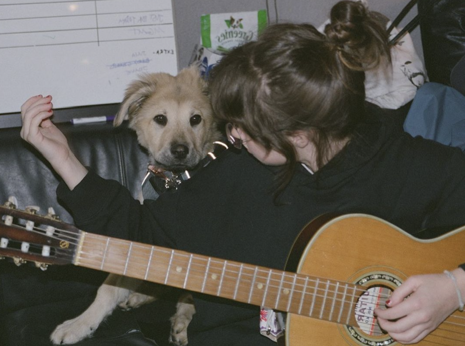 @clairo - Study Breaks